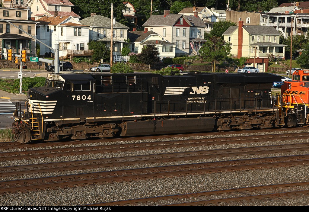 NS 7604